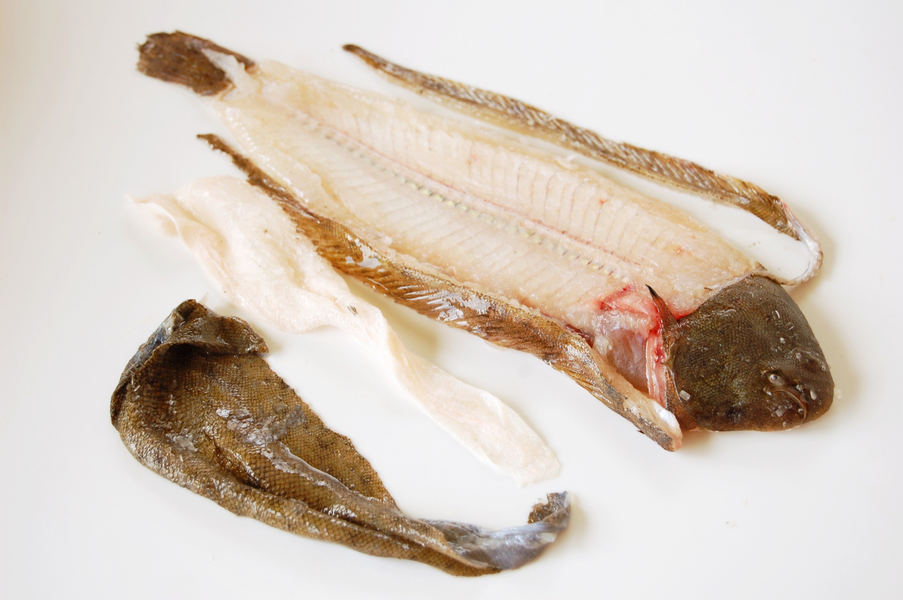 Lapos halak – Nyelvhal nyúzása és filézése | Tarka Bárka